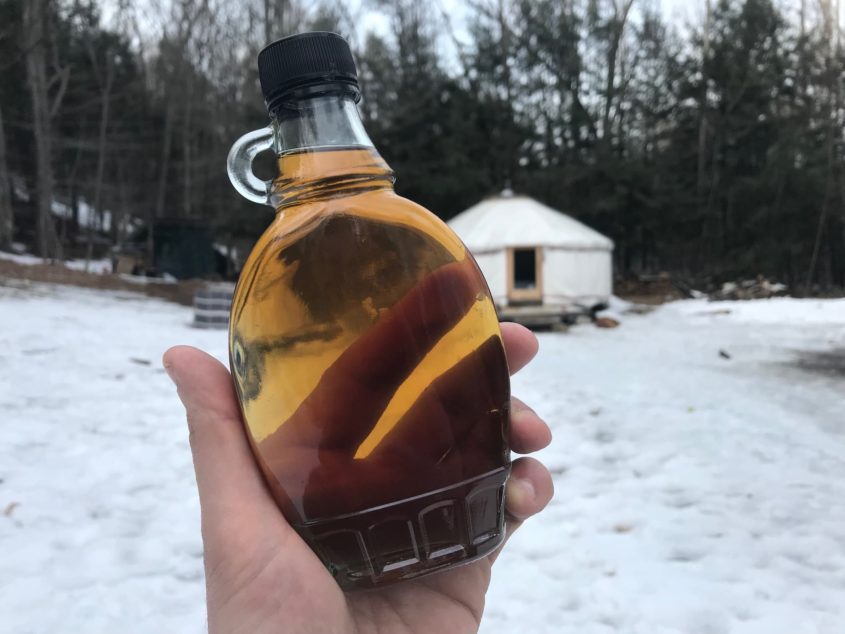 Spring Projects to Follow Maple Sugaring Season | That Yurt